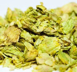 Saaz Whole Leaf 2 oz (Czech) - The Thirsty Quaker